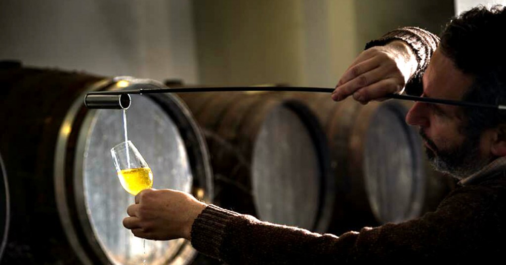 Estepeñ@s: José Ignacio Machuca, gerente de Bodegas Machuca - Todo ...